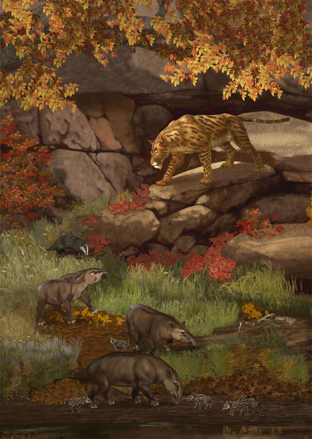 miocene - JungleKey.fr Image #50