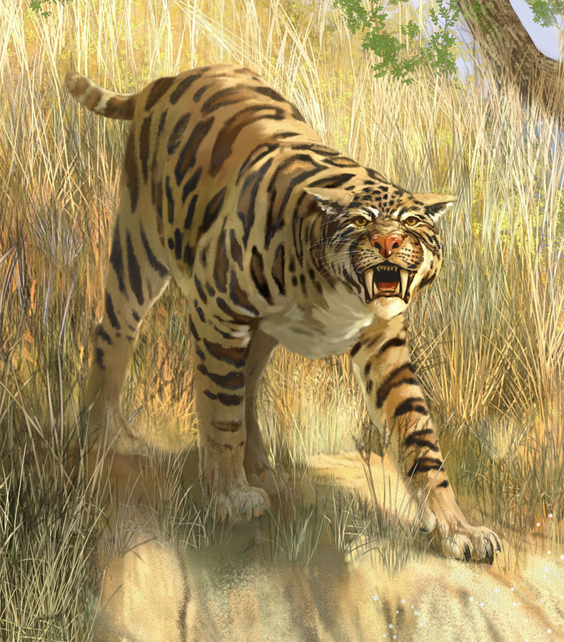 Miocene - JungleKey.fr Image