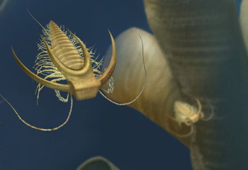 Paleoterra - Speculative Evolution